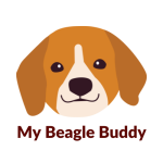 All About The Beagle Rottweiler Mix (Reagle)