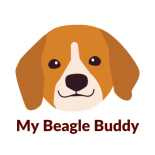 Beagle Shih Tzu Mix (Bea-Tzu): The Dog of Your Dreams