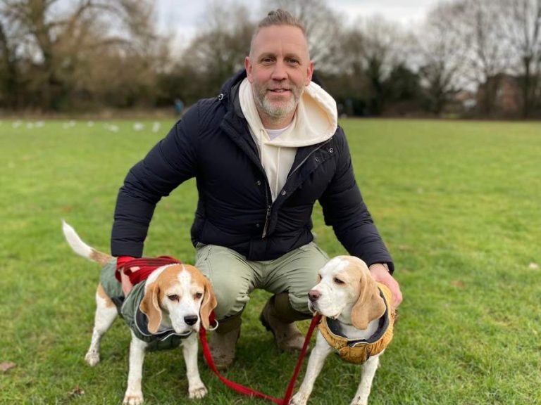 Beagle Puppy Guide - 11 Crucial Steps When You Get Home